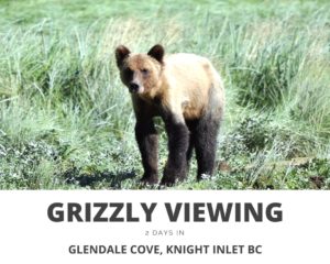 2 DAYS IN KNIGHT INLET, BRITISH COLUMBIA - Footloose Freya