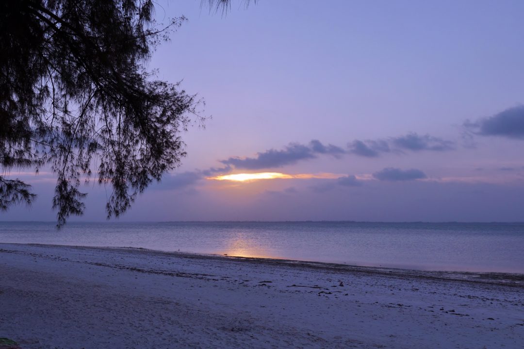 3 DAYS IN MICHAMVI, ZANZIBAR - Footloose Freya