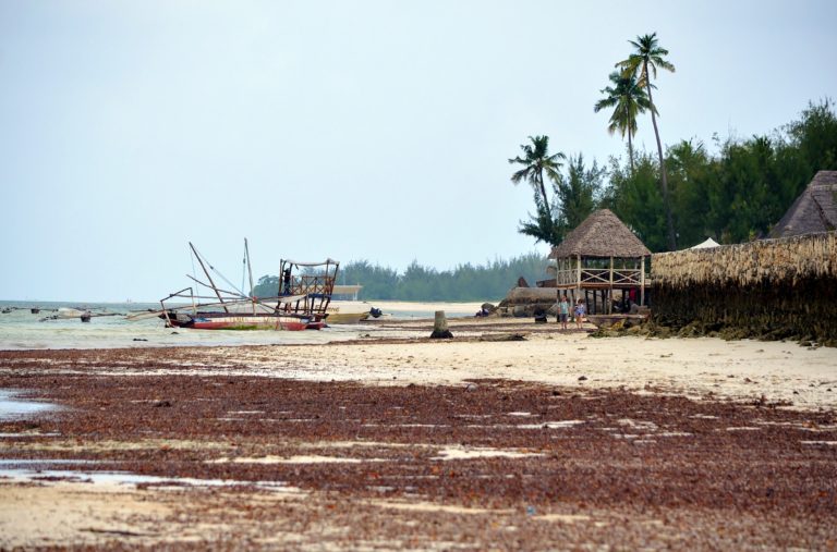 3 DAYS IN MICHAMVI, ZANZIBAR - Footloose Freya