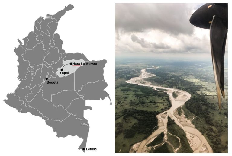3 DAYS IN LOS LLANOS, COLOMBIA - Footloose Freya