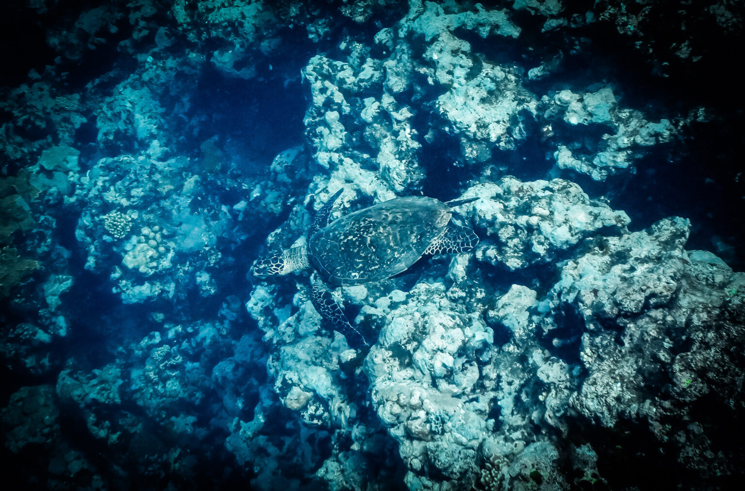 5-DAY ECO RESORT STAY IN FIJI - Footloose Freya